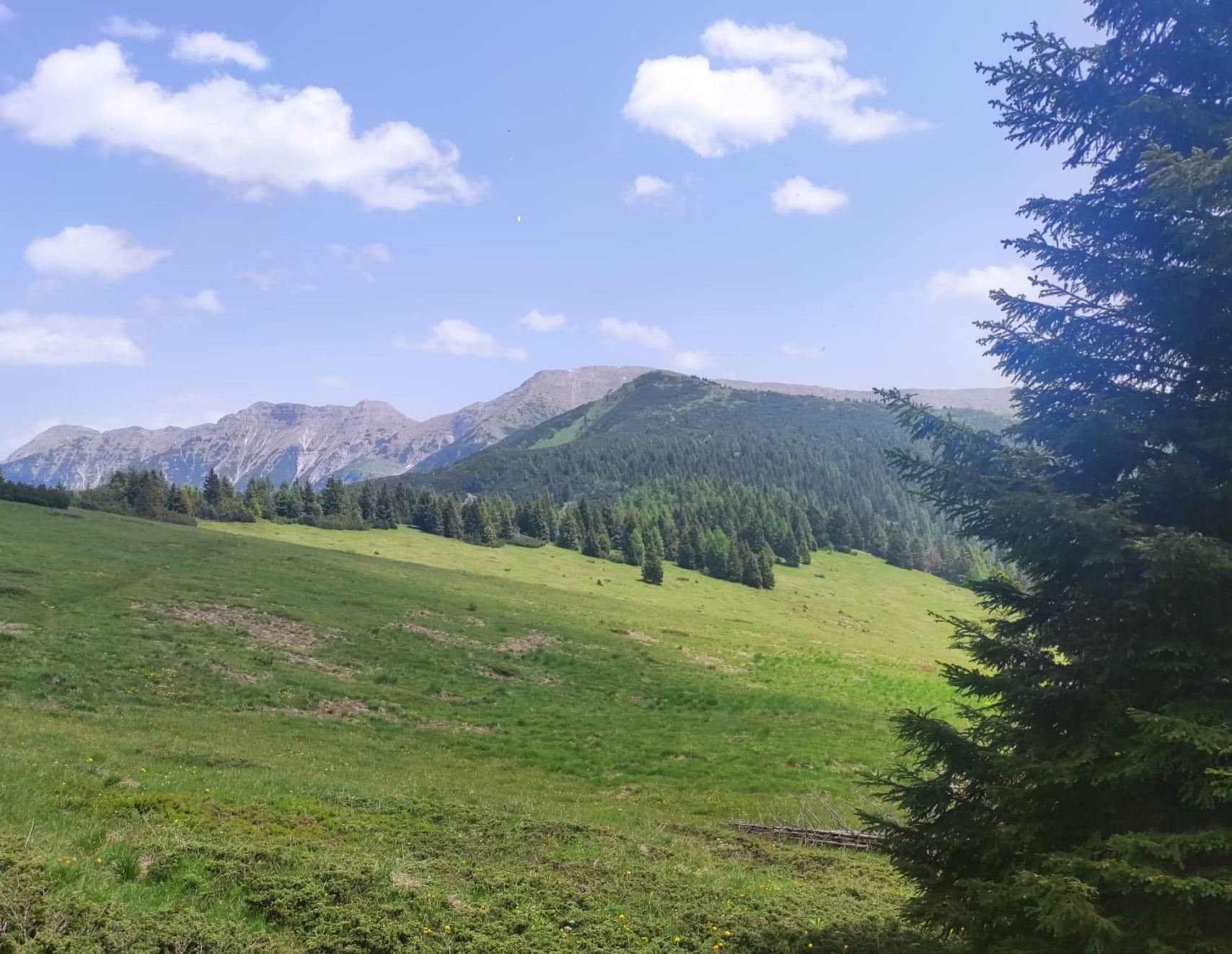Il nostro rifugio, il tuo punto d'appoggio per scoprire il territorio dei Larici - Rifugio Val ...